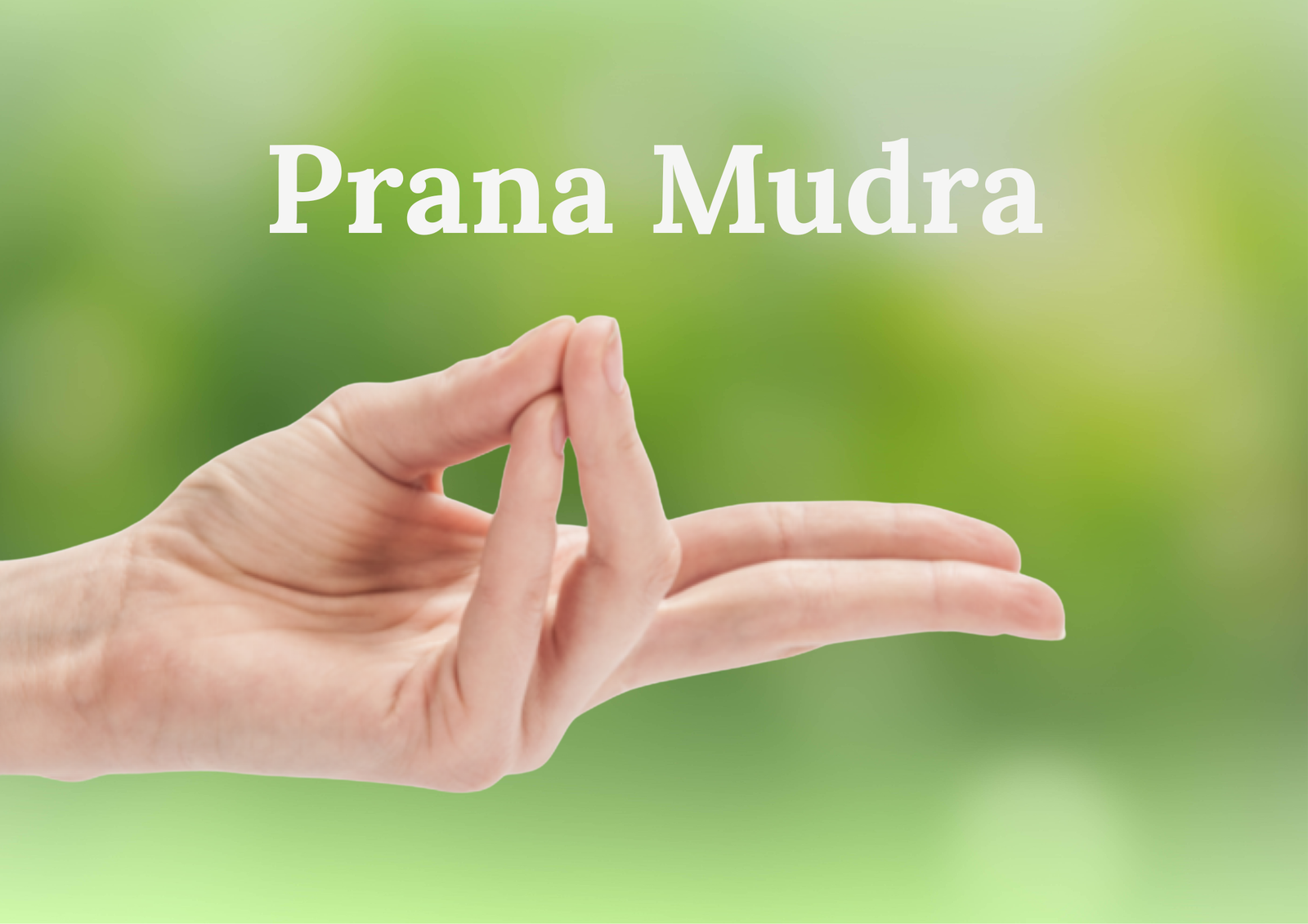 Prana Mudra – Yaşam Enerjisi Mudrası – Meditatif
